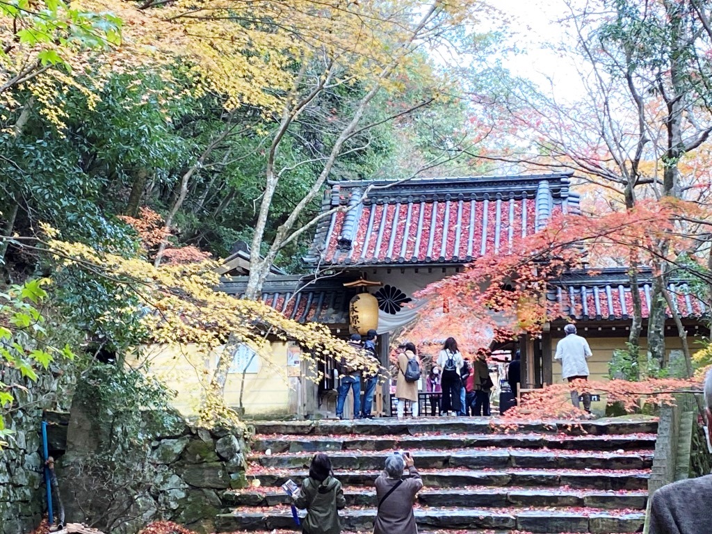 IMG_9420 – 赤目まちづくり委員会